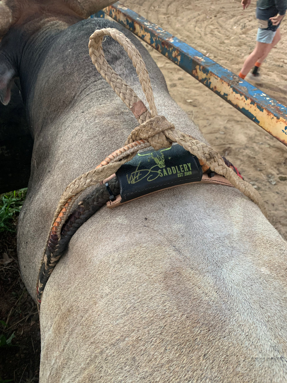 Australian Made Rodeo Gear